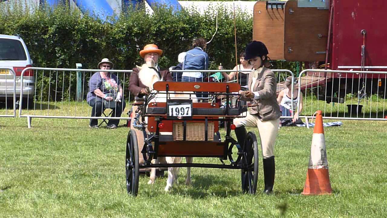 Giselle, Jenny & Mork, Whip & Groom Royal Three Counties Show 2014 ...