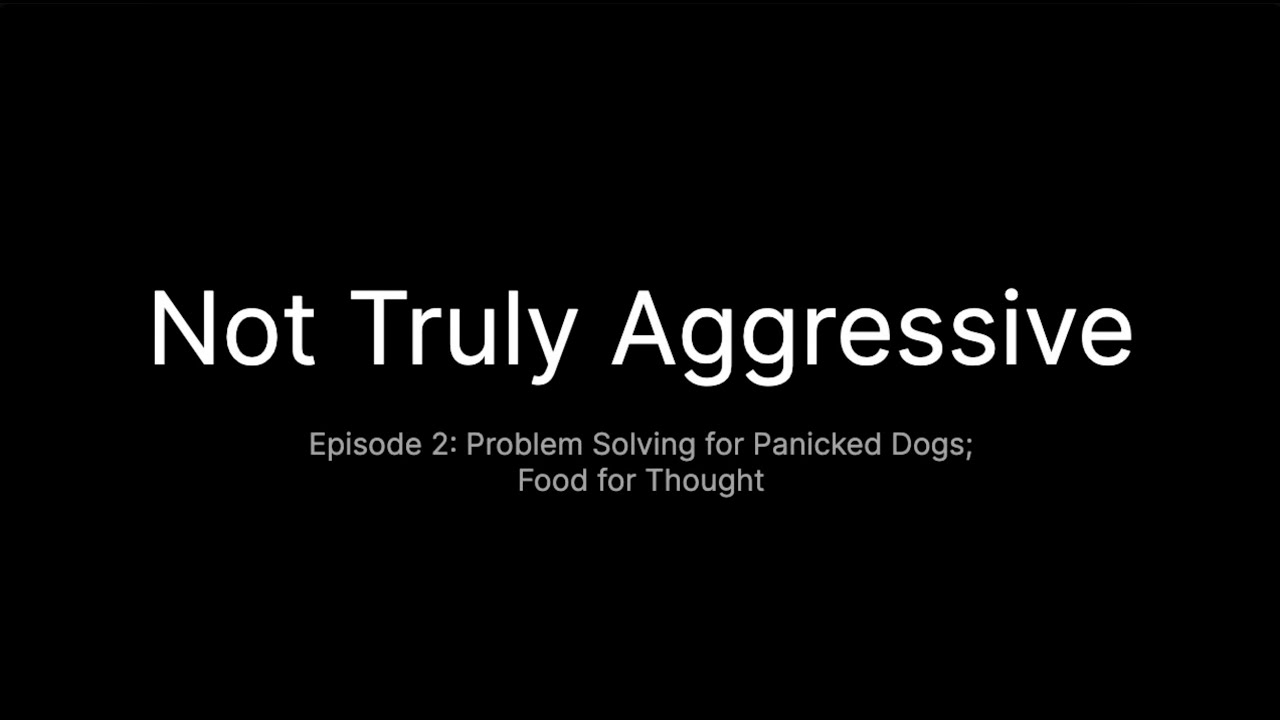Not Truly Aggressive Episode #2 Problem Solving for Panicked Dogs Food ...