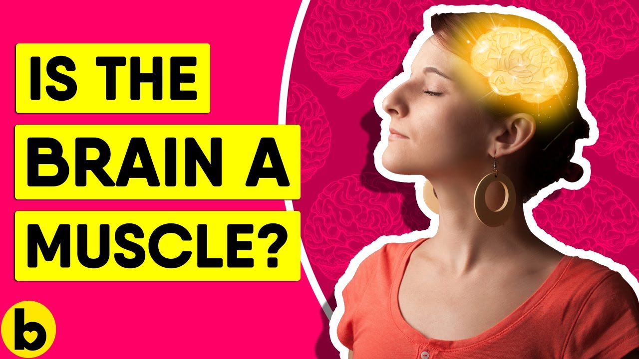 Is The Brain A Muscle? - YouTube