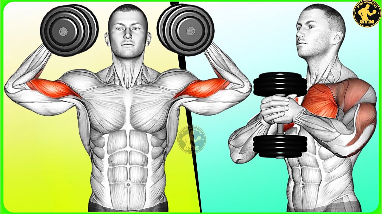 Build Bigger Chest and Biceps: Beginners guide to Hypertrophy - YouTube