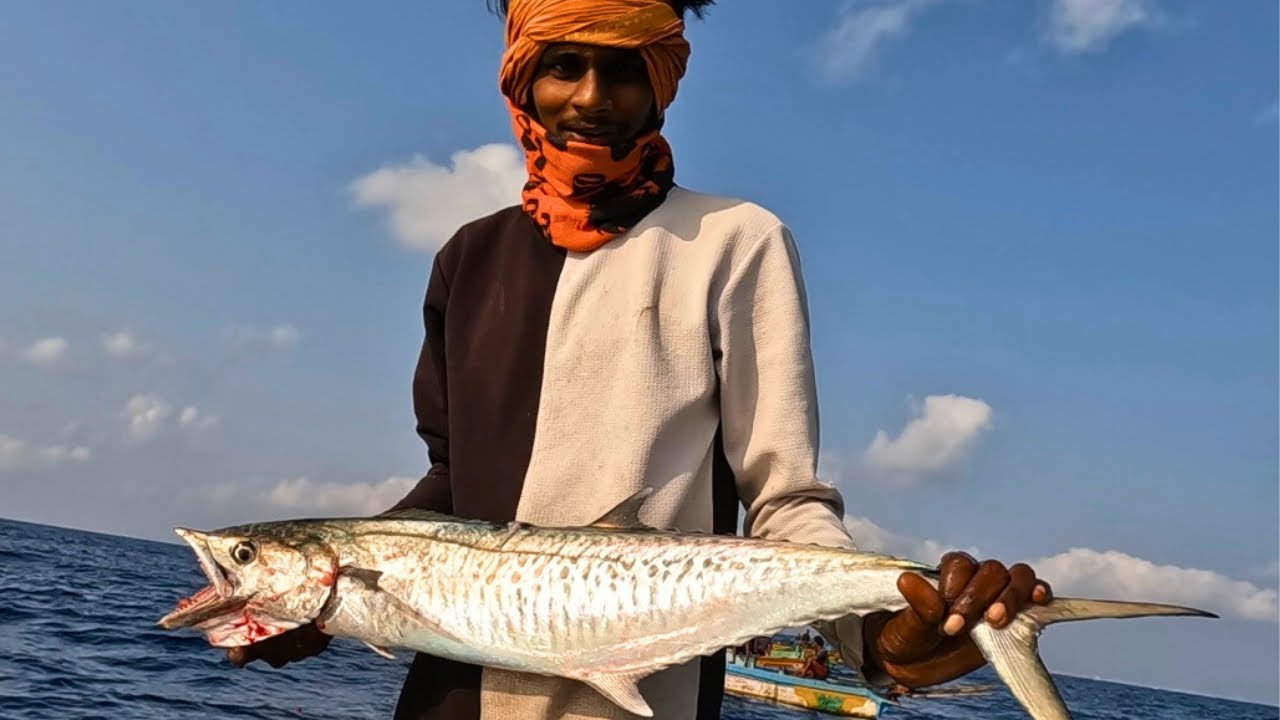 Caught by king fish in deep sea | fishing focus 🦈 - YouTube