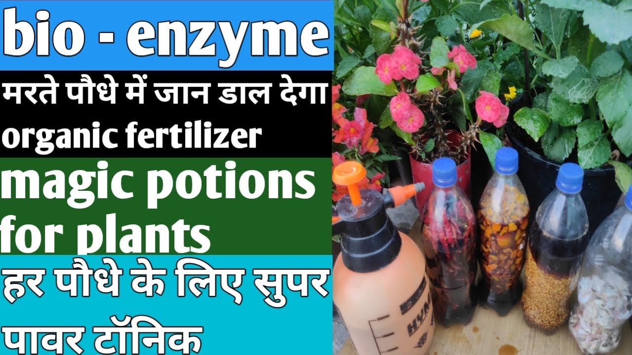 Bio enzyme for plants ll how to make bio enzyme for plants at home ll ...