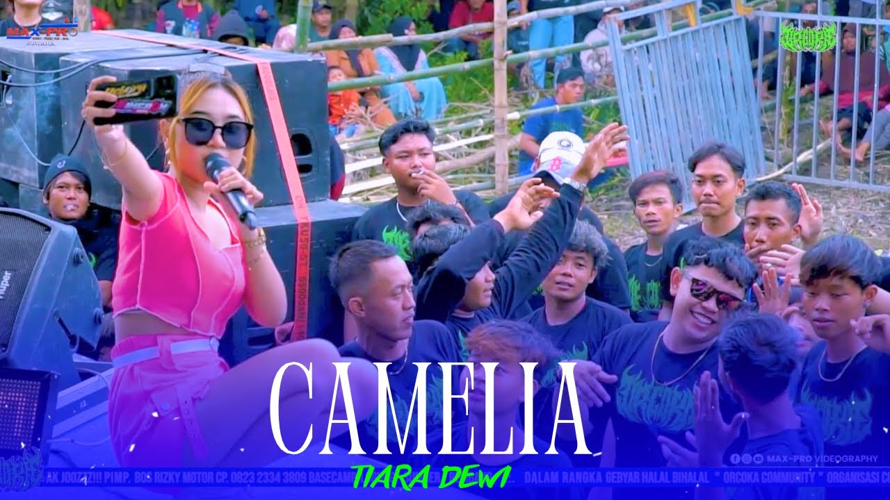 CAMELIA - TIARA DEWI - NEW AMELIA - ARYA AUDIO - THE BIG FAMILY ORCOKA 2024 - YouTube