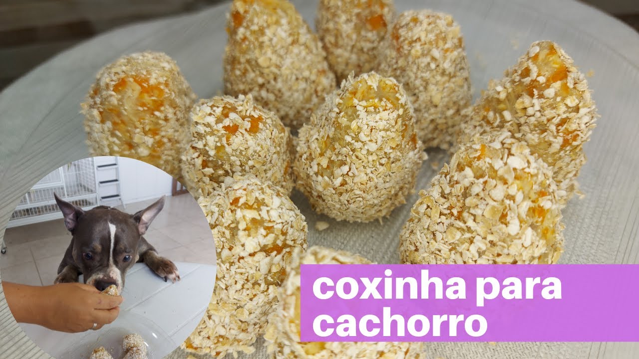 COXINHA PARA CACHORRO [SURPREENDA SEU PET]/Comidas da Drika - YouTube