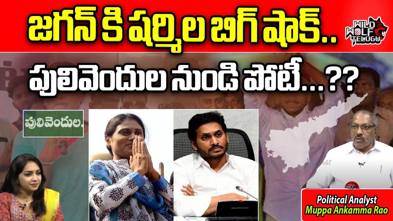 Sharmila Party Contest In AP Elections | CM Jagan | YSRCP | YSRTP ...
