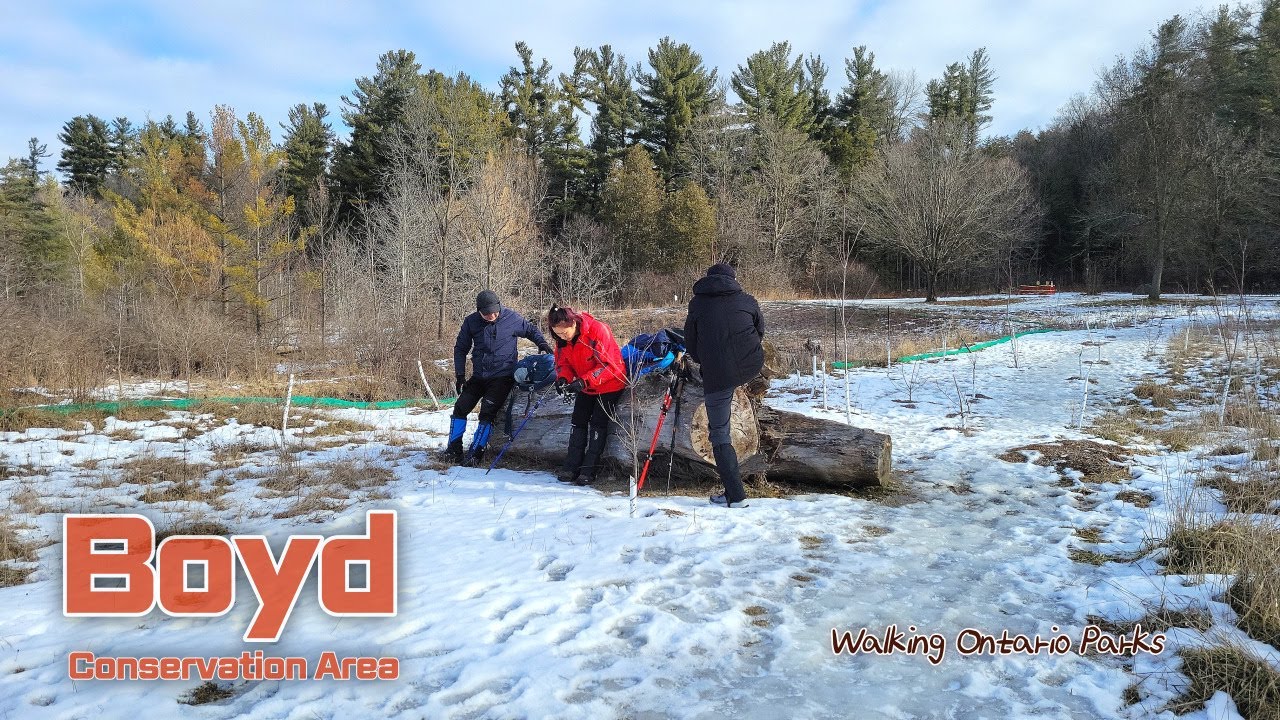 [4K] Boyd Conservation Area, Vaughan, #1 [2023.2.11 ...