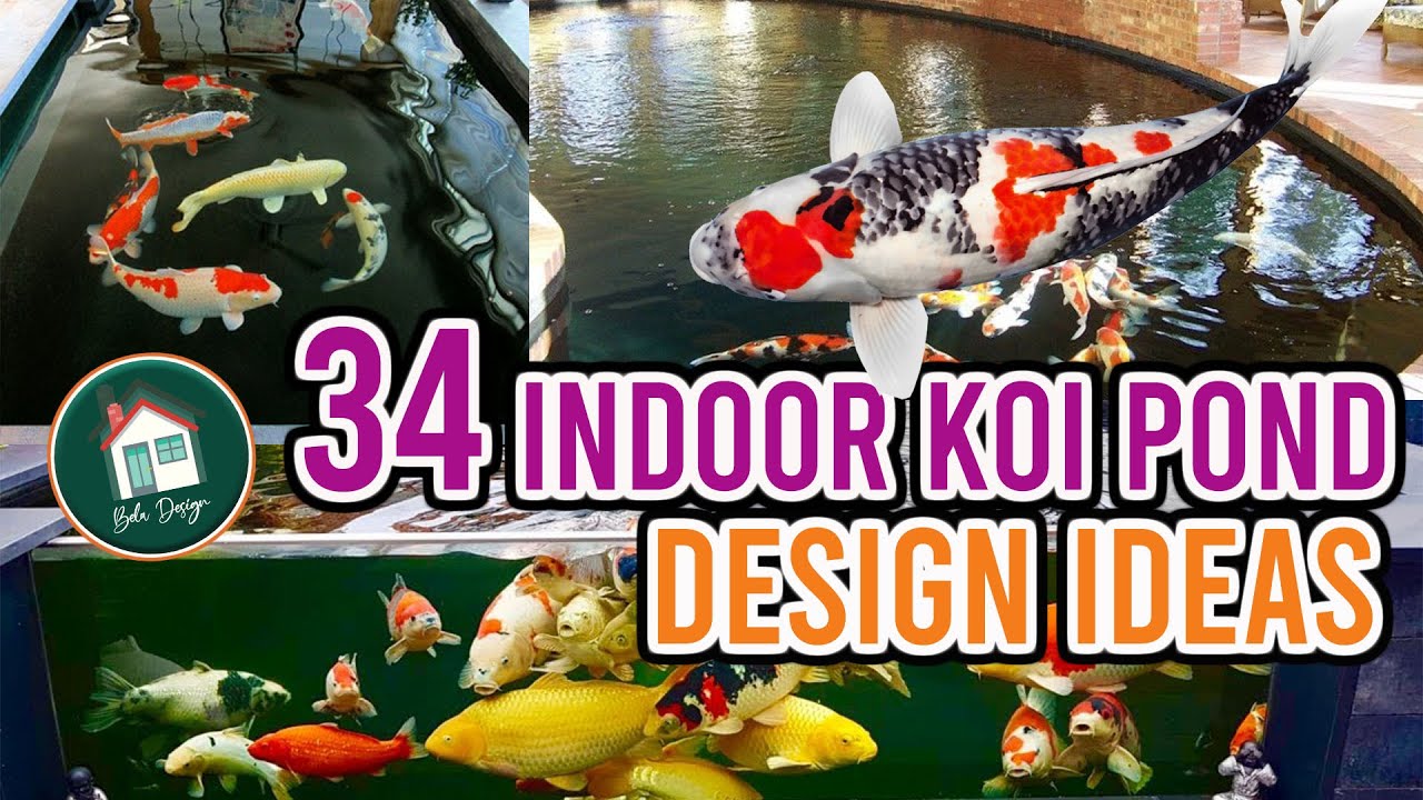 34 Indoor Koi Pond Design - YouTube