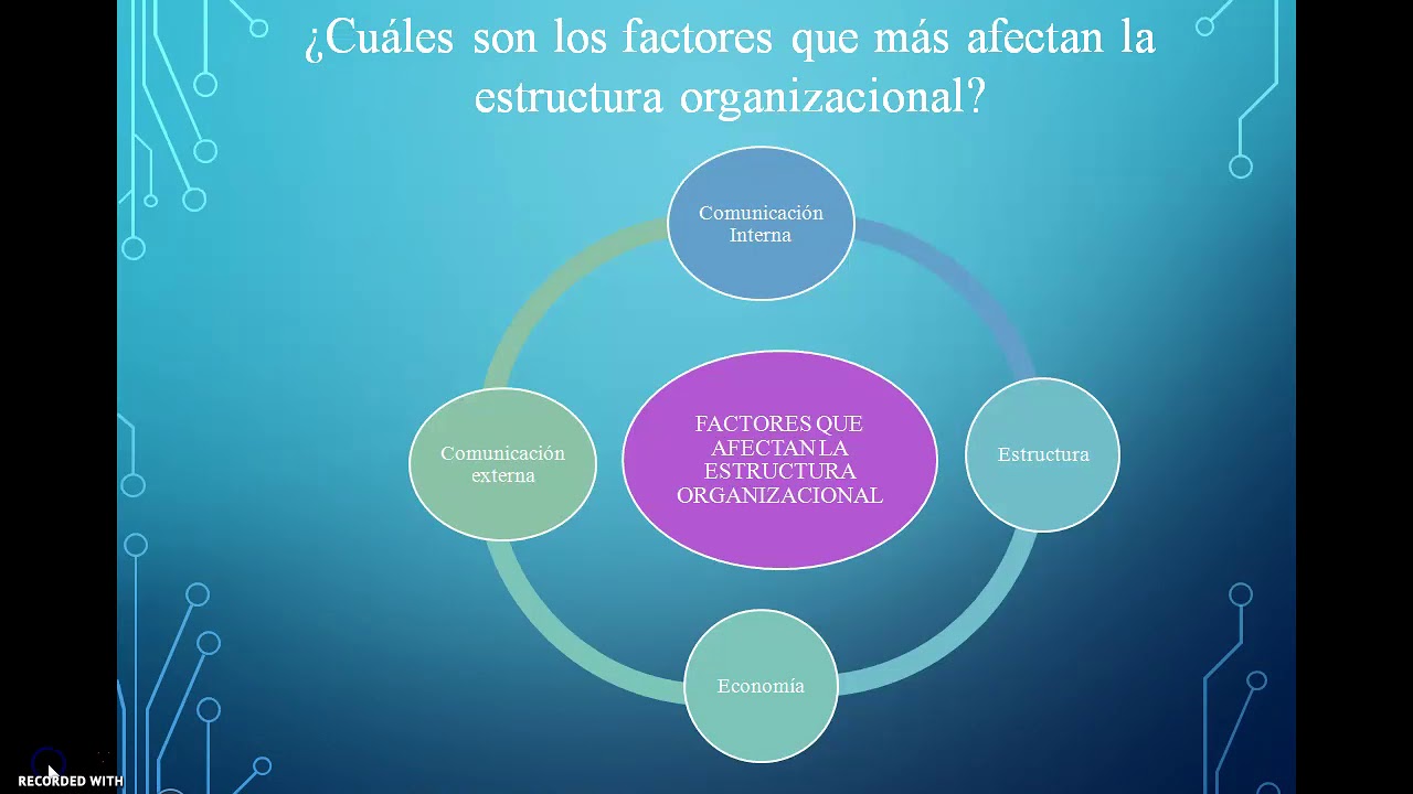 Estructura Organizacional Por Funciones Y Procesos Youtube Hot Sex Picture