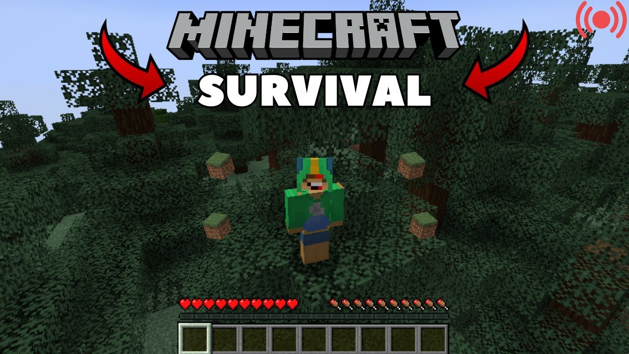JUGANDO MINECRAFT SURVIVAL en DIRECTO! - YouTube