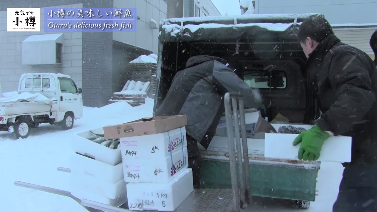 (Otaru gourmet) Fresh Fish - YouTube