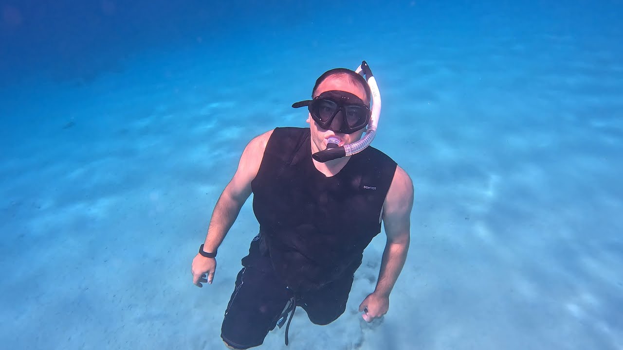 "Mesmerizing Underwater Adventure: Explore Vibrant Marine Life in 4k ...