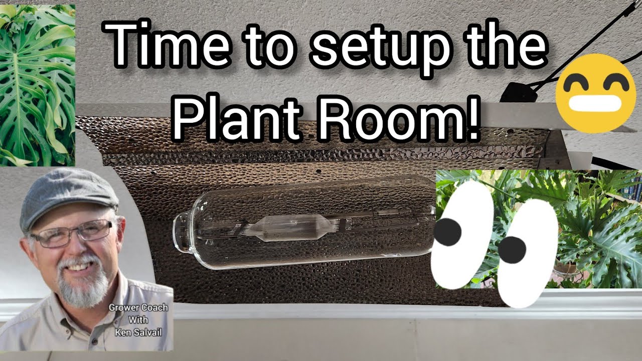 Time to set up the Plant Room! Making room for the holidays. - YouTube