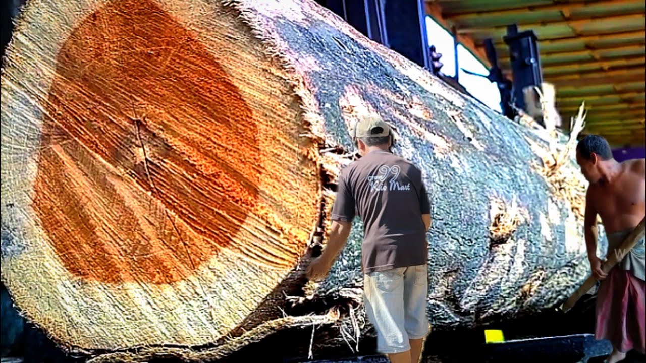 Amazing Biggest Woodworking Heavy Sawmill Cutting Wood #2 - YouTube