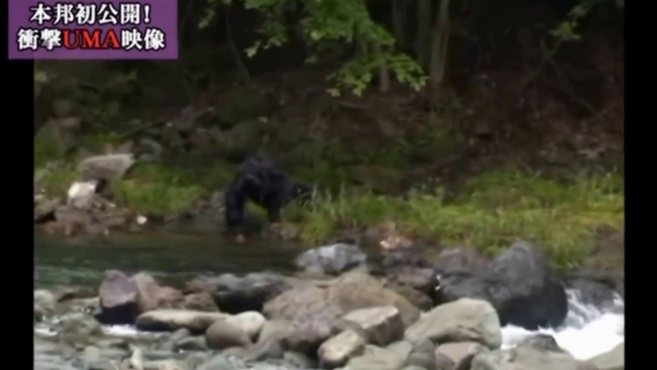 A Study of Japan's Bigfoot - YouTube