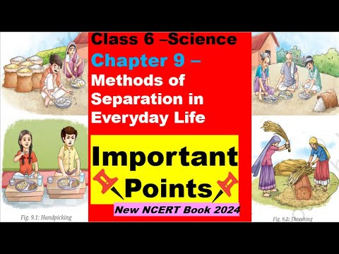 Curiosity Class 6 Science | Chapter 9 - Methods of Separation in ...