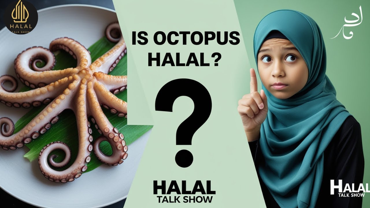 Is Octopus Halal or Haram? | Islamic View on Eating Octopus 🐙 | Halal ...