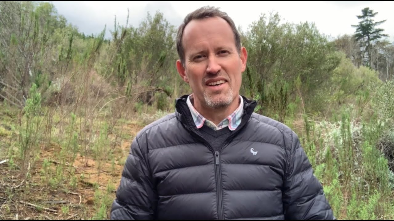 Andre Serfontein - Geesbewegings - Gathered na Scattered - 14 Junie ...