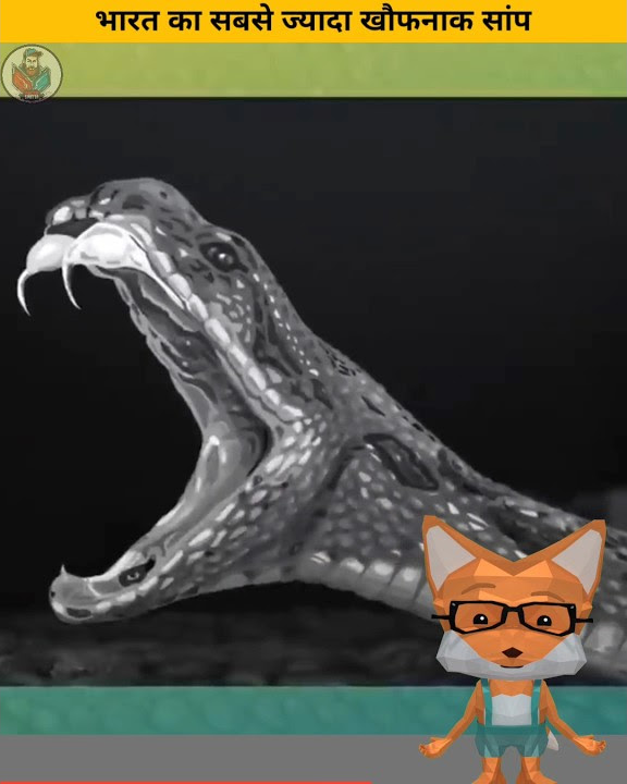 Russell Viper Facts #snakefacts #facts #russelviper - YouTube