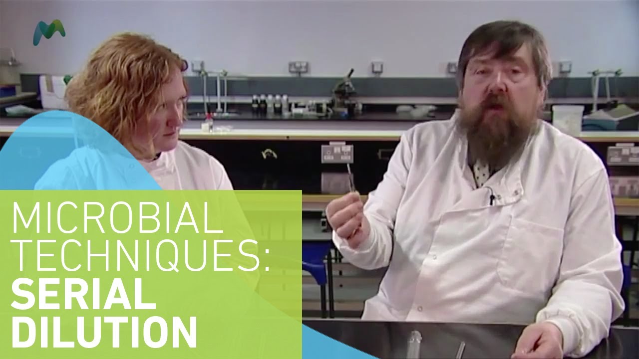 Microbiology Techniques: Serial dilution - YouTube