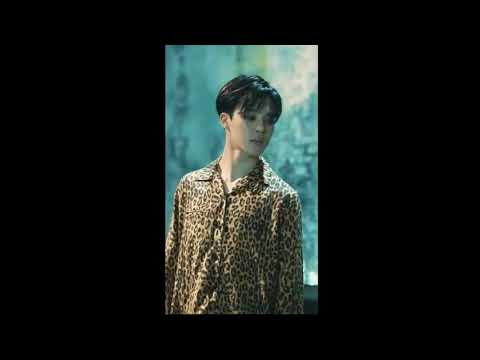 [MIRROR] 'FAKE LOVE' - BTS (방탄소년단) Spotify/Vertical/Dance/Close-Up Version