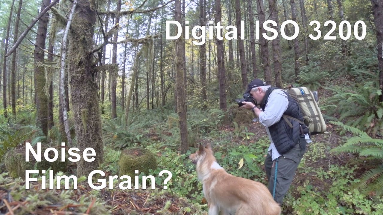 Does Digital ISO 3200 Look Like Film Grain? | Landscape Photography ...