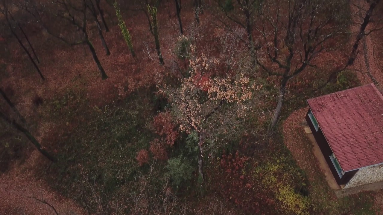 DJI Grad mladih 3 - YouTube