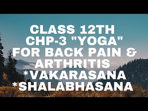 Class 12th Chp-3 "Yoga" - Asanas To Cure Backpain & Arthritis - YouTube
