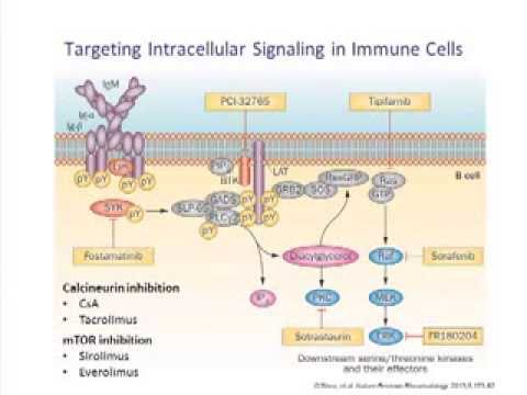 Human Kinome as Target for Autoimmune and Autoinflammatory Disease ...