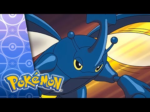 All in a Day's Wurmple | POKÉMON FULL EPISODE 14 | Season 6