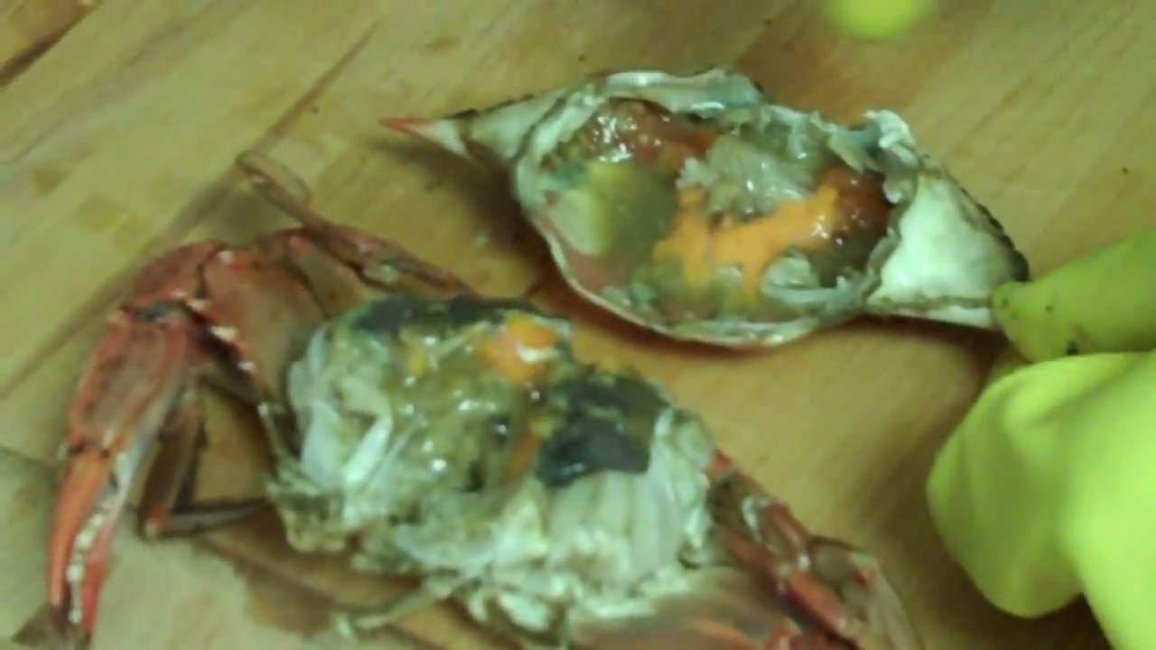 Coconut Curry Crab and Razor Clams Provençal, Part 2/3 - YouTube