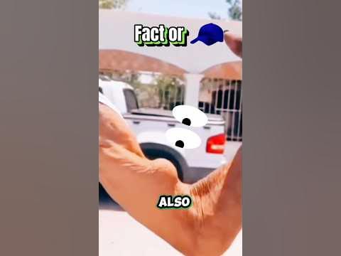 Fact or cap part 12 - YouTube