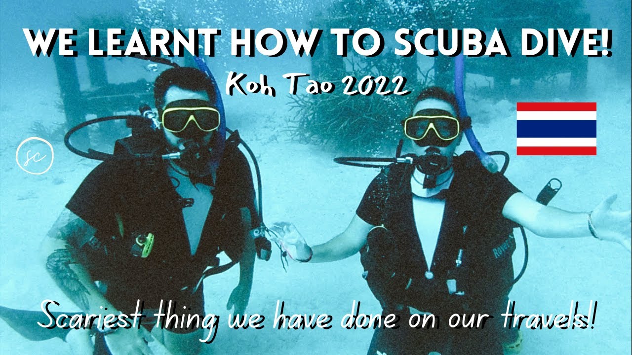 We went SCUBA DIVING in Koh Tao! 🤿 & Visiting Koh Phangan 🇹🇭 - YouTube