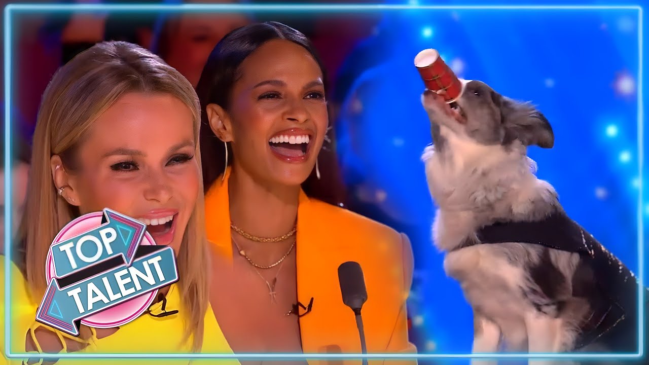 HILARIOUS Animal Auditions On Britain's Got Talent - YouTube