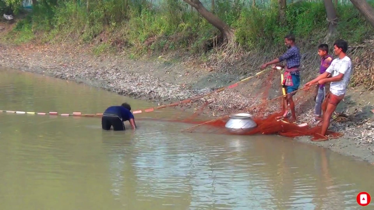 Amazing Fishing Video!!Asain People Catching Fish Using By Net!!Village ...