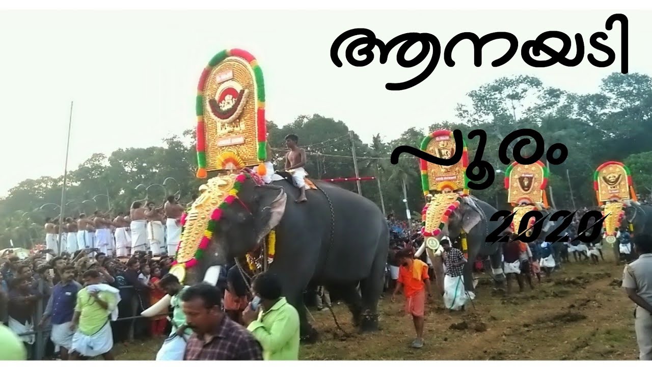 Anayadi pooram 2020 - YouTube