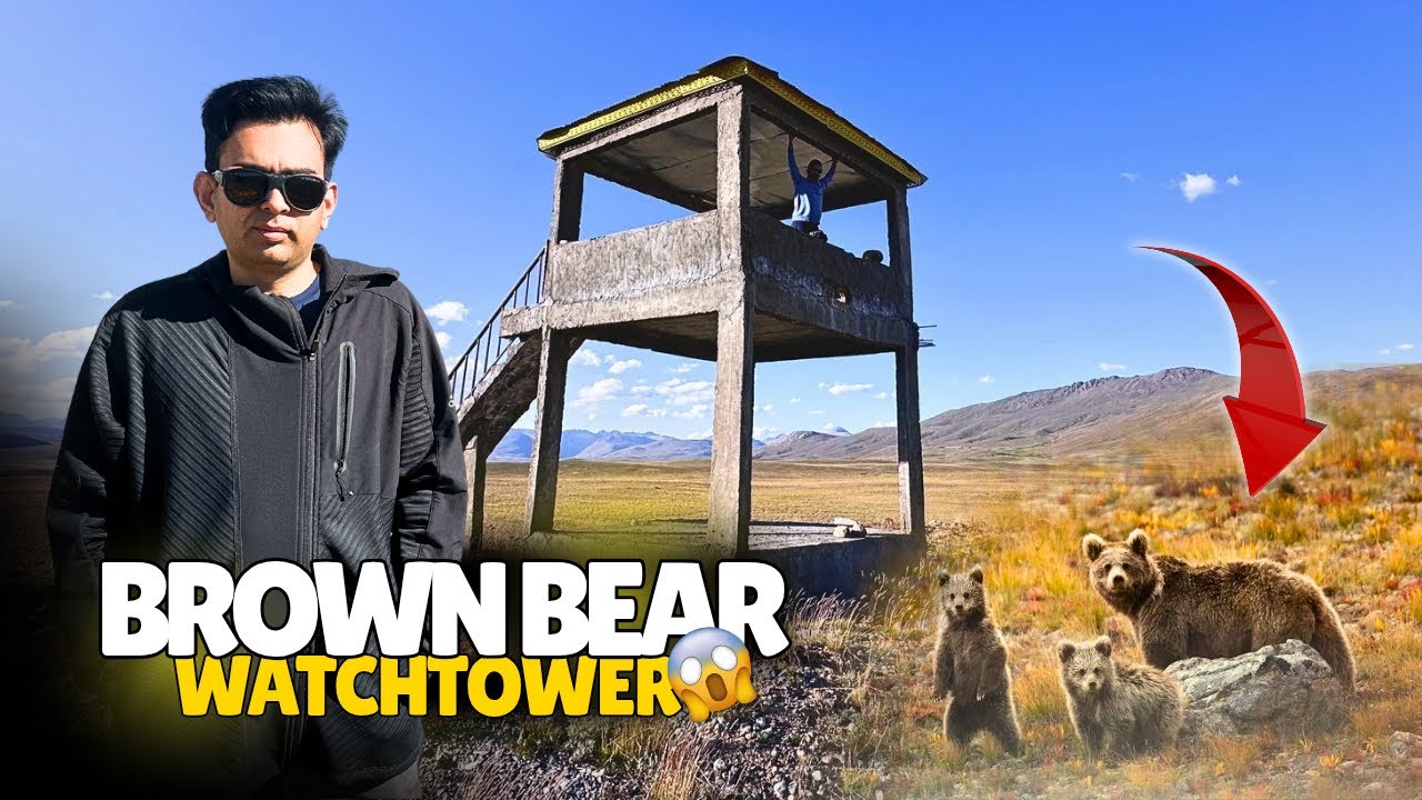 Brown Bear Watchtower at Deosai National Park | Bara Pani Adventure ...