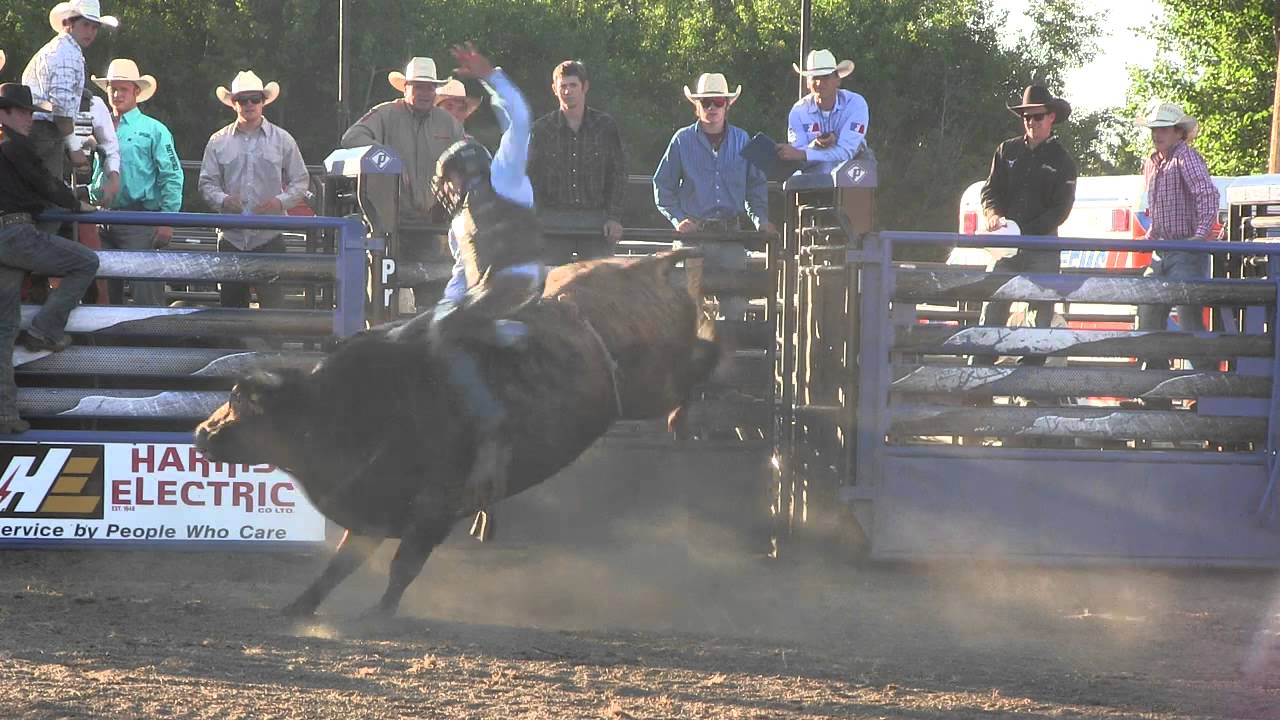 Zane Lambert 82 on Flying Four's 940 Krackin Up. Lashburn, SK (PBR) '13 ...
