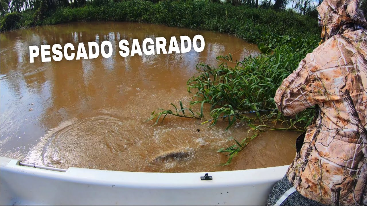 GRAN PESCA DE SURUBI EN SAN JAVIER , SANTA FE (MANDUVI, RAYA, AMARILLOS ...