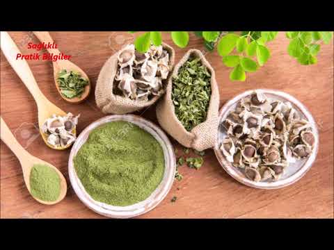 Moringa Nedir Moringanın Faydaları Nelerdir Nasıl Tüketilmelidir