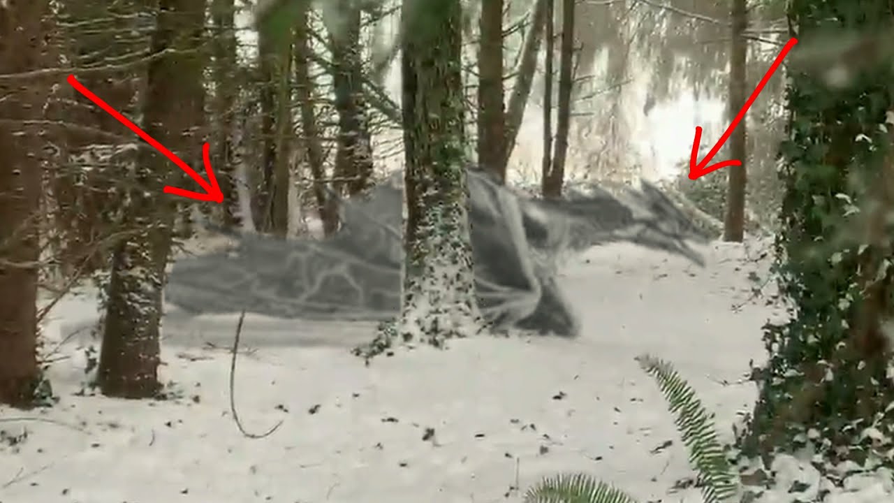 Azhdaya Siberian mythical creature sighting - YouTube