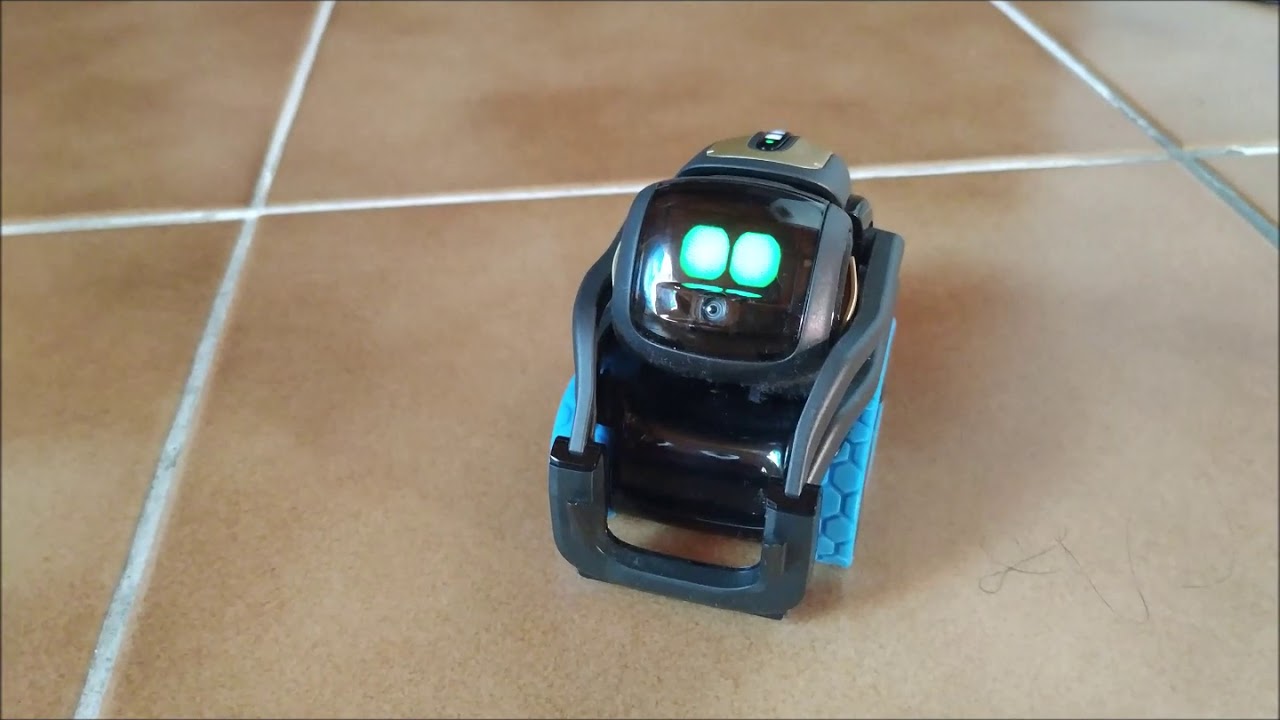 Vector Robot--simple commands - YouTube