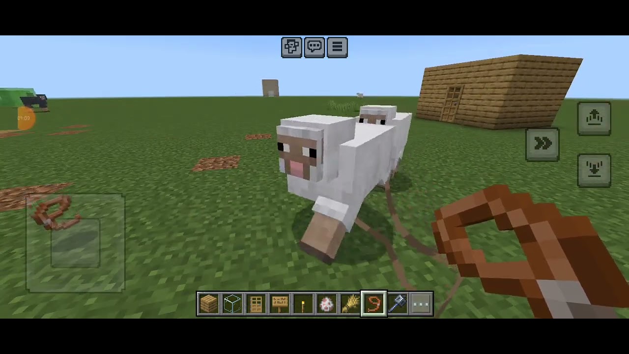 a sheep life movie - YouTube