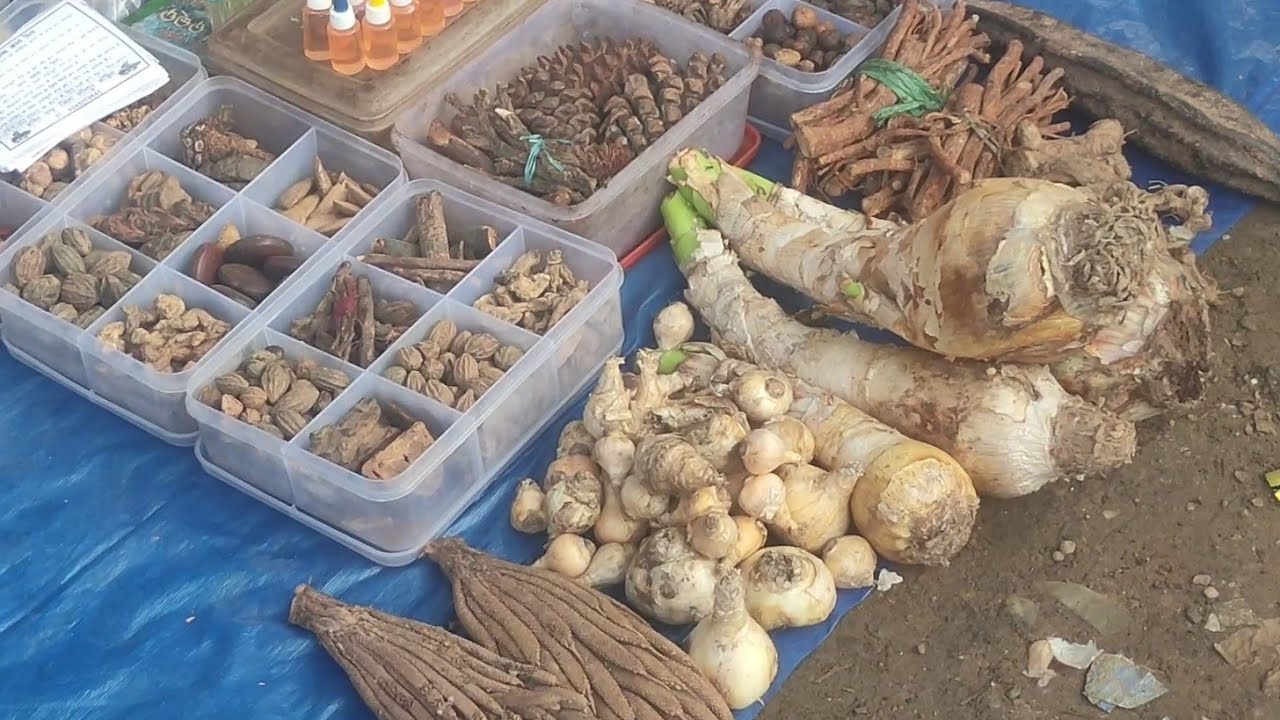 Herbal medicine for knee pain ,ghutne ke dard ki ayurvedic ilaj,जंगली ...