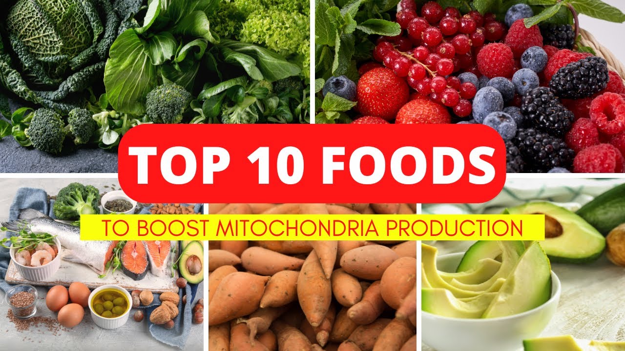 Top 10 Foods to Boost Mitochondria Production Enhance Your Cellular Health - YouTube