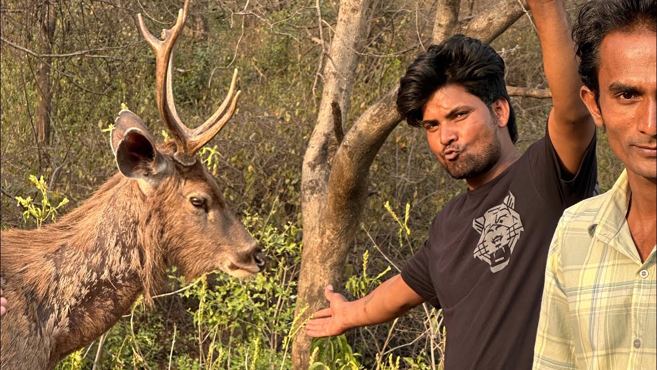 Yeh Kya Cheez Hai? 😍🙈 - YouTube