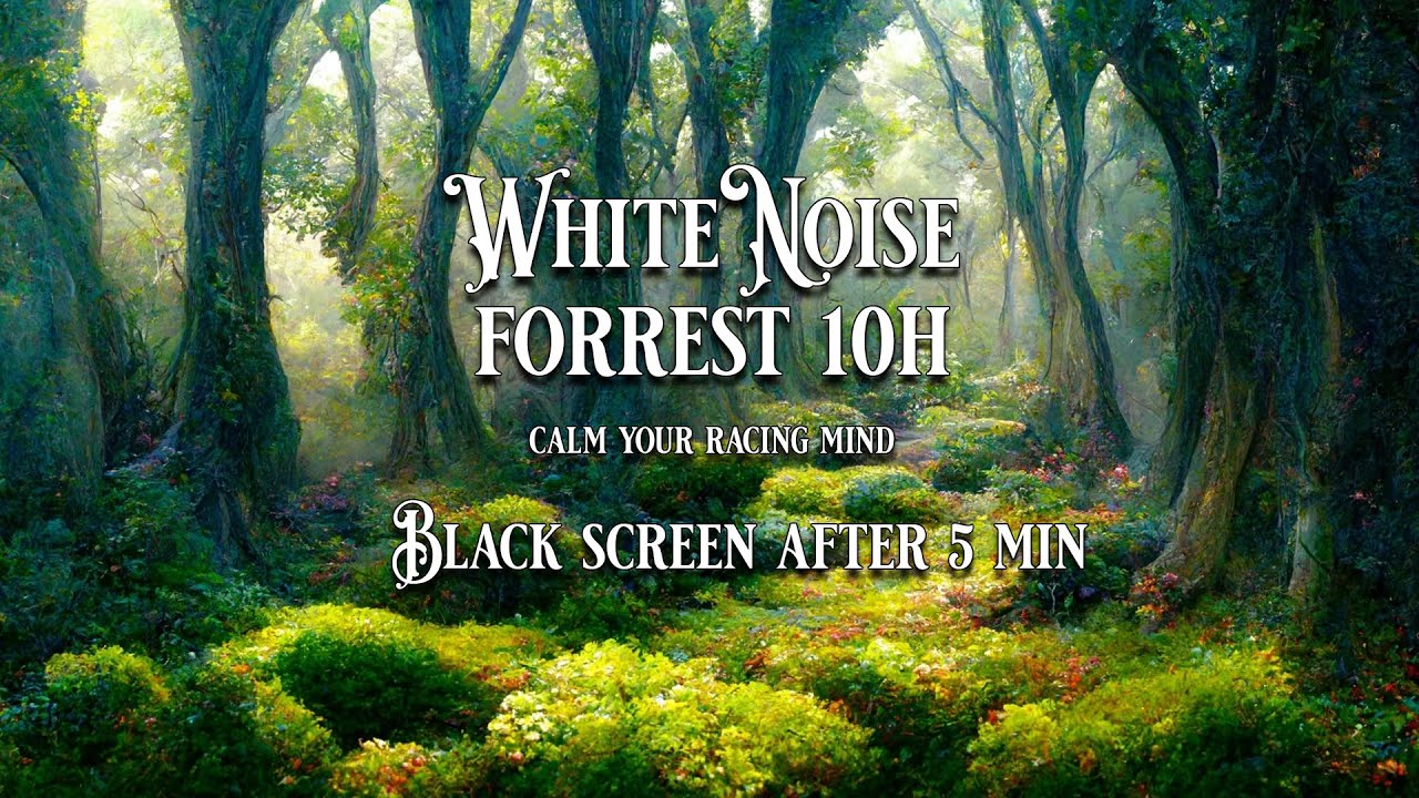 Woodland Forrest Sounds 10 hours, to Sleep, Study, Relax, Reduce Stress ...