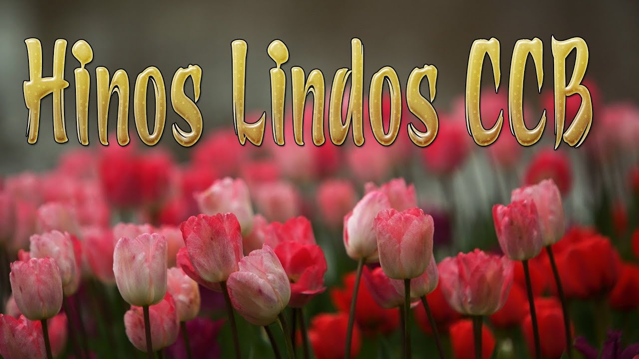 Hinos CCB Cantados ️ Belos Hinos CCB Hinário 5 Cantados ️ Congregação ...