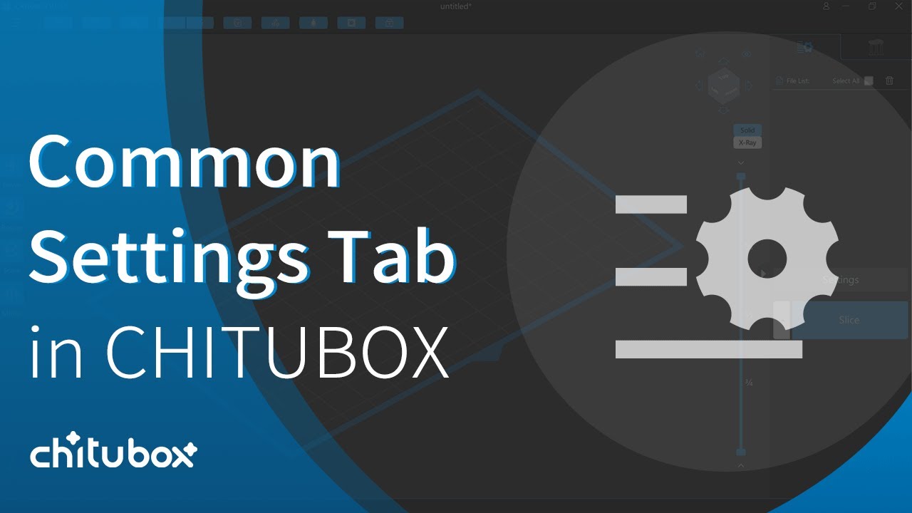 [CHITUBOX Basic]Common setting Tab in CHITUBOX - YouTube
