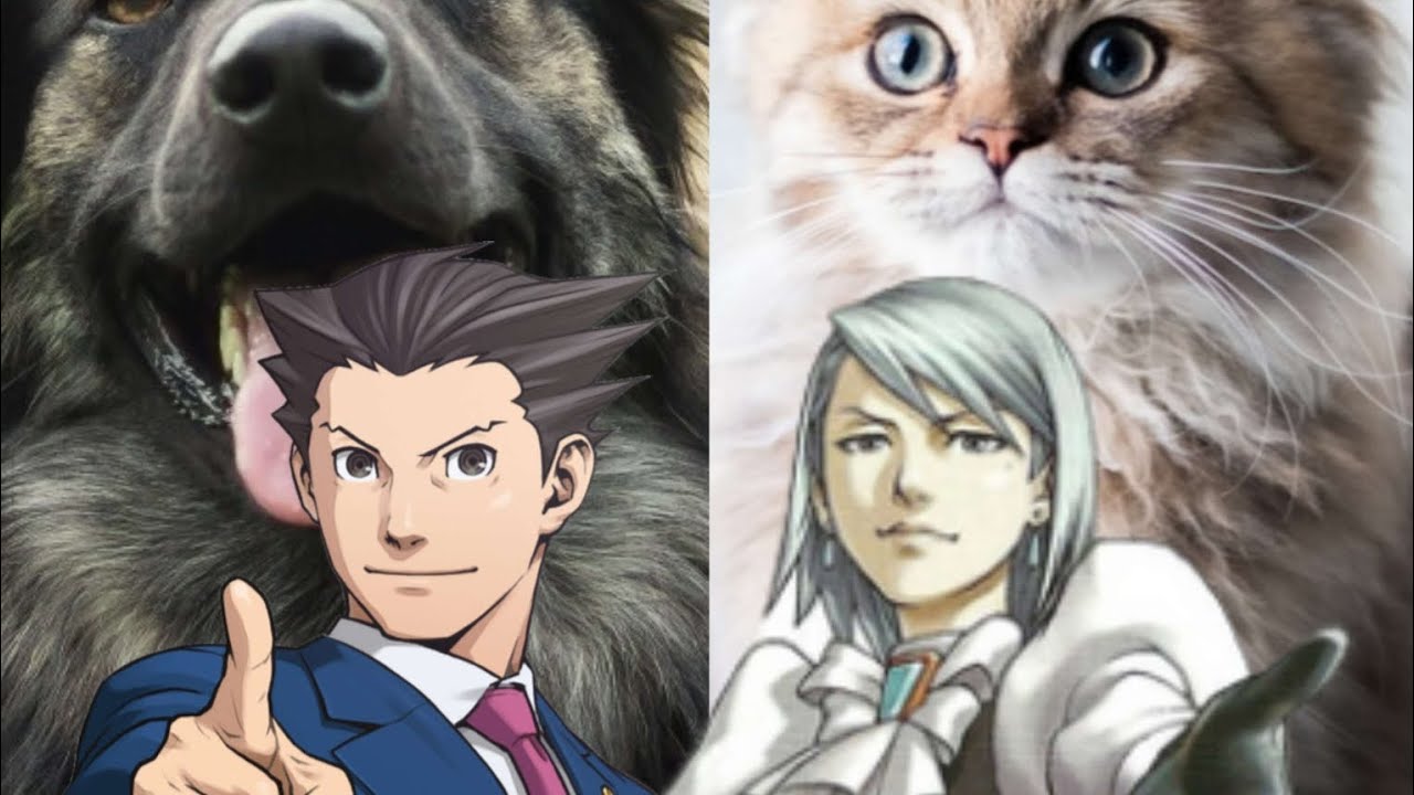 Dogs vs Cats debate (Objection.lol) - YouTube
