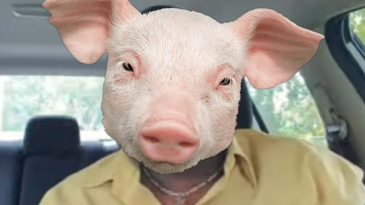 THE MUVA OF LIES / TREZUR LAME/ LADY NYCA I AM DISAPPOINTED - YouTube